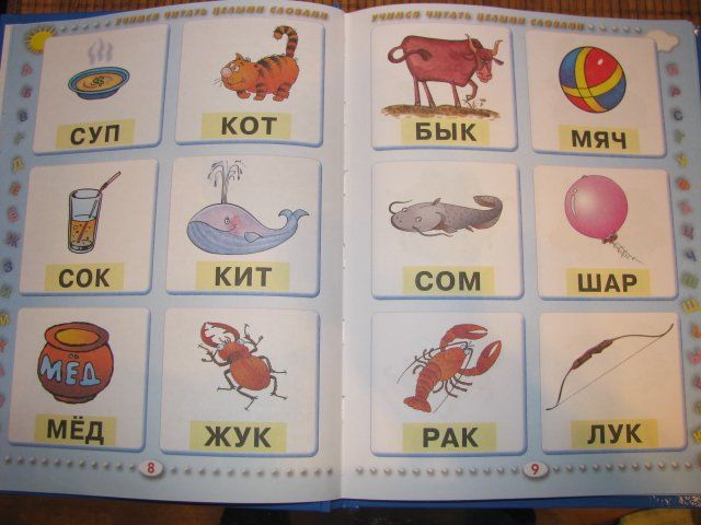 Азбука Жуковой: отзыв и обзор
